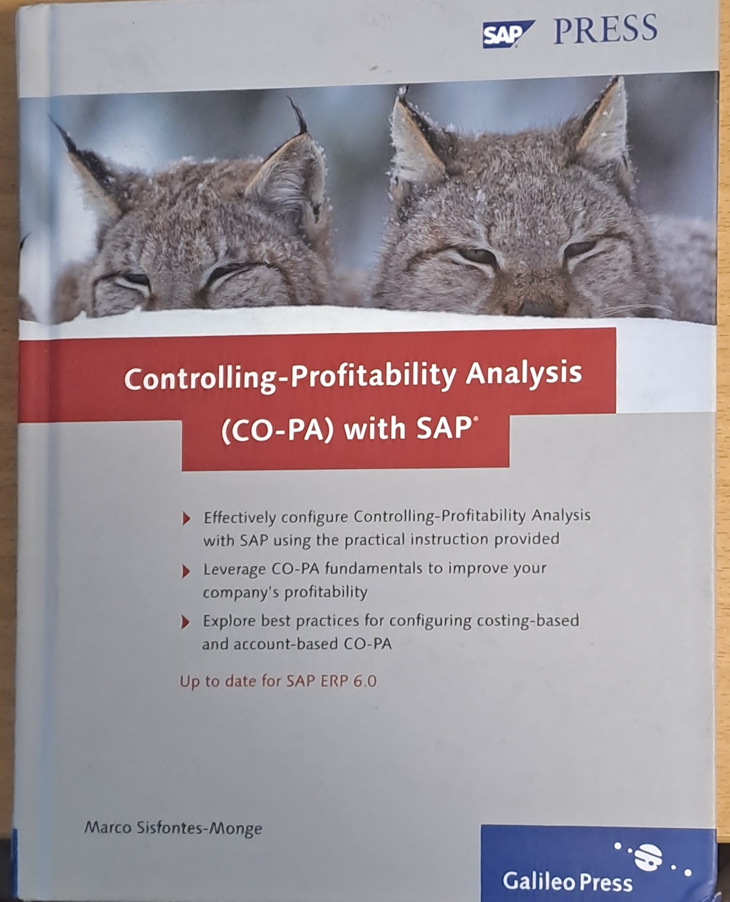 Controlling-Profitability Analysis (CO-PA) with SAP - Антикварен ...